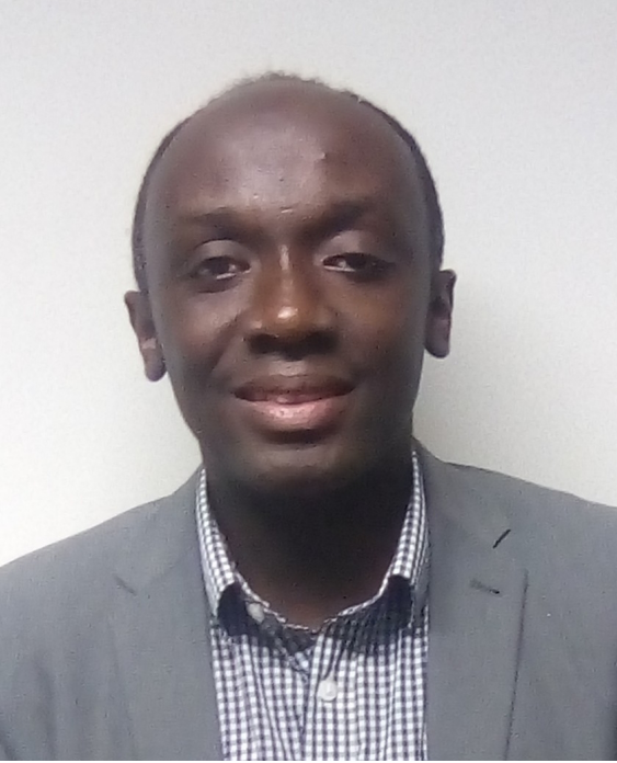 Albert Danso-辽宁大学新华国际商学院